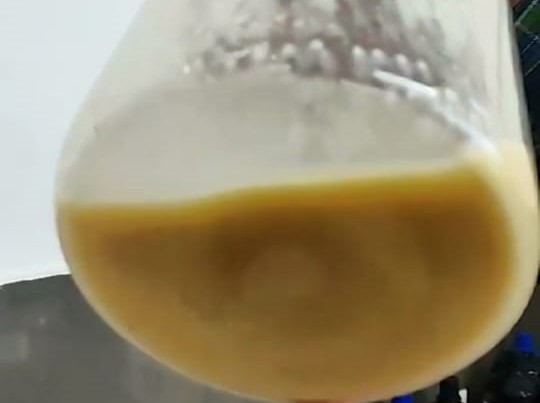 HYDROLYZED SOYA LECITHIN NON GMO | Haneil Soyatech Pvt. Ltd. | Ingredients Network